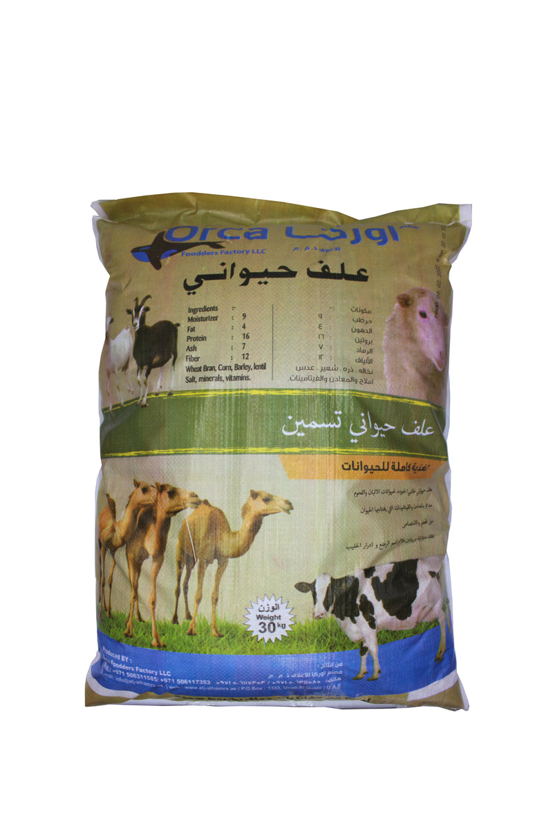 Orca Factory – Dubai Animal Mart